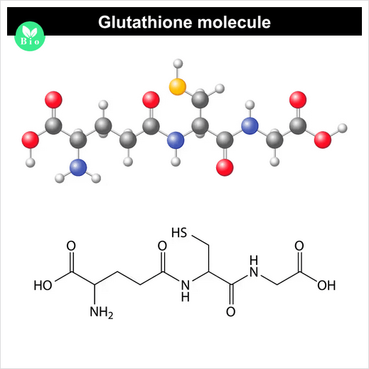 Glutathione Cocktail Infusion – Celeb Laser Clinics